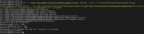 How To Install Pgadmin On Ubuntu 2404