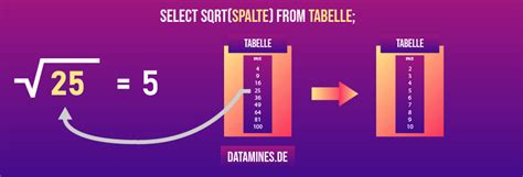 Sql Sqrt Quadratwurzeln Einfach Berechnet