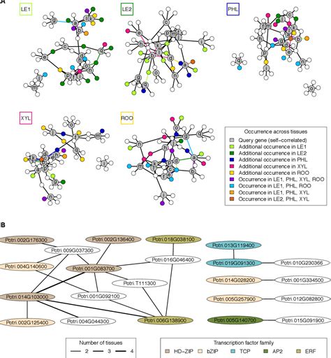 Figure 4 From The Systems Architecture Of Molecular Memory In Poplar
