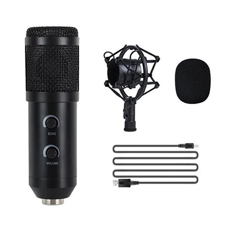 Alm 888 Usb Condenser Mic With Echo Muzikone