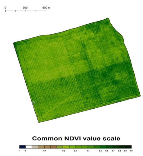 Generally Accepted Scale Of Ndvi Values Download Scientific Diagram