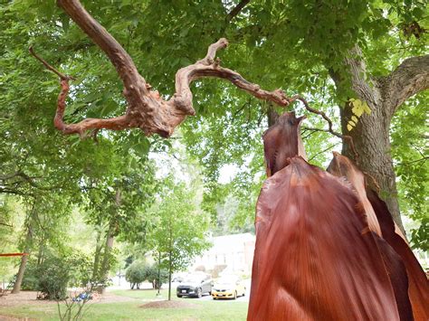 Chris Combs › Creaturemachine