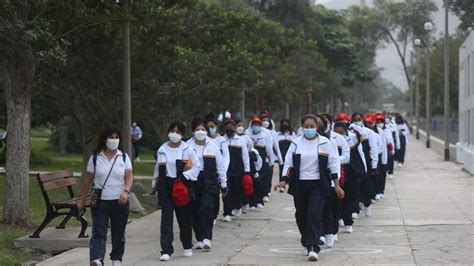 Un Nuevo Stent Cura El Corazón Y Desaparece Infobae