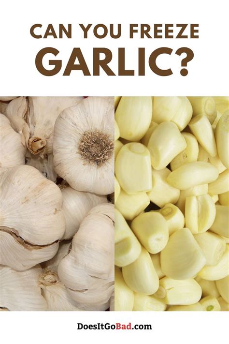 Garlic 101 Can You Freeze It Can You Freeze Garlic Freezing Fresh