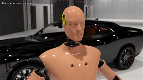 Humanoid Crash Test Dummy 3d Model Turbosquid 2270526