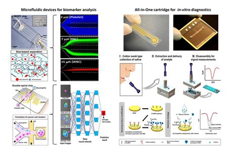 나노코리아 2022 과학기술정보통신부 장관상 정효일 연세대 교수