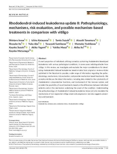 Pdf Rhododendrol‐induced Leukoderma Update Ii Pathophysiology