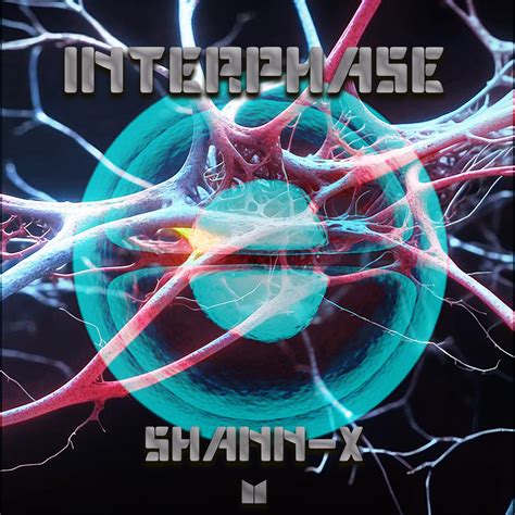 Interphase By Shann X Ep Electro Reviews Ratings Credits Song