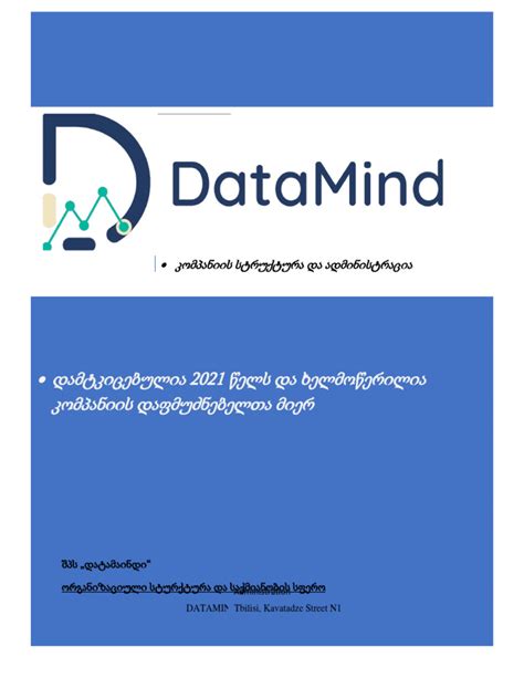 Company Structure Pdf