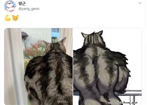 Muscular Cats