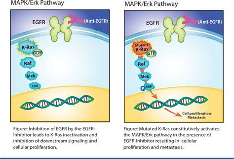 Figure I From Kras Mutation Analysis In Colorectal Cancer Semantic Scholar