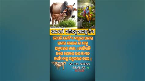 ଭଲ କର୍ମ ମଣିଷକୁ ଆଗକୁ ନିଏ Motivational Generalknowledgegomatamaa