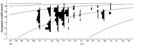 Length Frequency Distribution With Seasonal Von Bertalanffy Growth