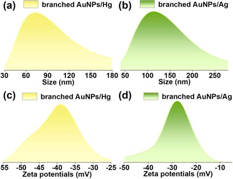 Dls Of Branched Aunpshg A And Branched Aunpsag B Zeta Potential