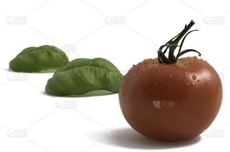 番茄罗勒叶