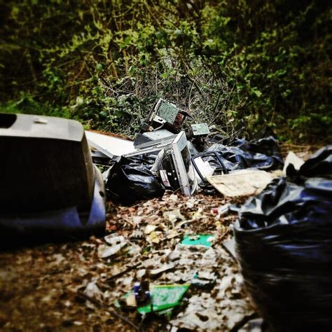 Premium Photo Polluted Forest