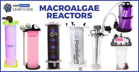 The Best Macroalgae Reactors Reef Builders Gear Guide Reef Builders