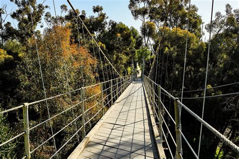Spruce Street Suspension Bridge Enjoy A Birds Eye View Of Nature