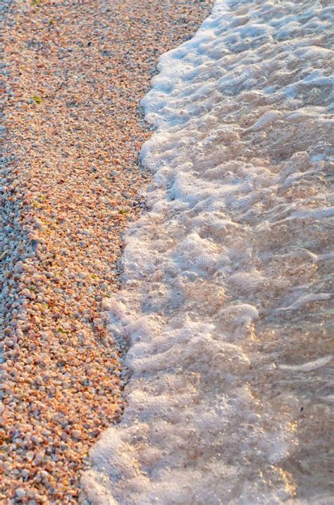 Sea Surf On The Beach Of Small Shells Stock Image Image Of Bubbles Closeup 121043473