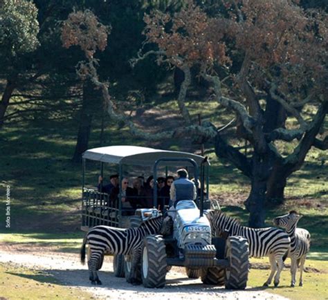Badoca Safari Park