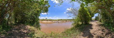 The Hippos Of The Mara River 360 Panorama 360cities
