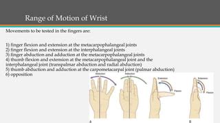 Range Of Motion Of Upper Limbpptx