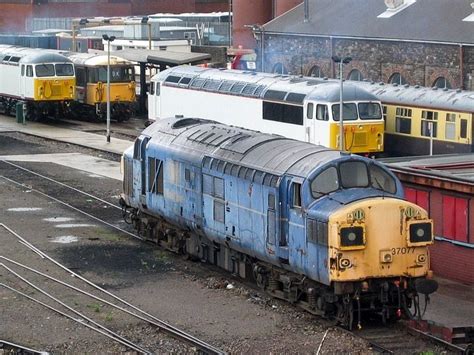 Wnxx Storedscrap Locomotive Galleries Class 31 To Class 37 Class