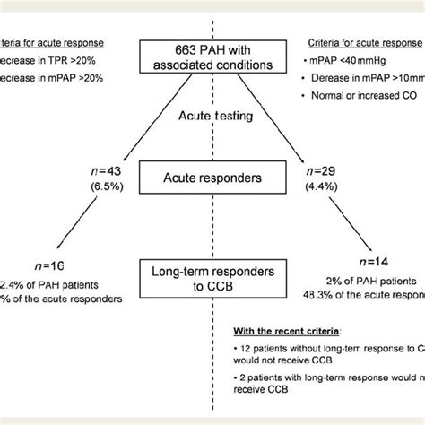 Comparison Of Criteria For Defining Acute Vasodilator Response Download Scientific Diagram