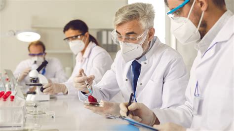 O Que é Variabilidade Genética E Como Ela Funciona