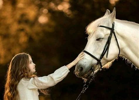 نسيم البحر للبيع Facebook