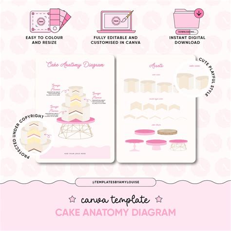Cake Anatomy Diagram Cute Playful Style Etsy