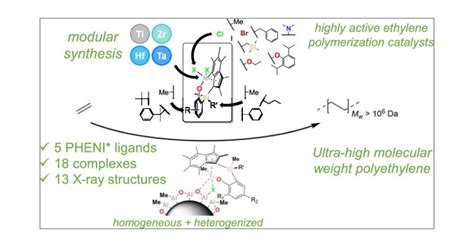 Trends In Structure And Ethylene Polymerization Reactivity Of