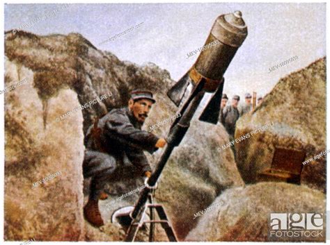 A French Shell Launcher Stock Photo Picture And Rights Managed Image Pic MEV