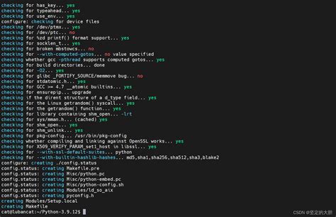 【鲁班猫】安装python3 9 12 csdn博客