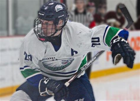 Todd Mcbain Stats Contract Salary And More