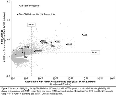 Gene Expression Microarray Analysis Of Purified Cd16 Stimulated Human