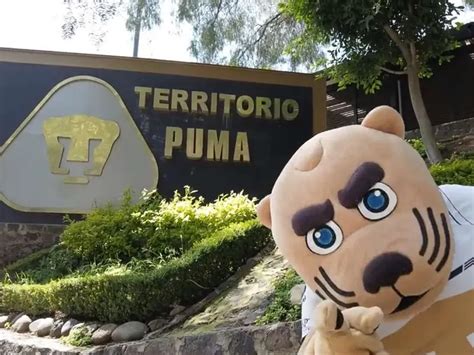 Pumas Confirma Llegada De Dani Alves Goyo Le Da La Bienvenida