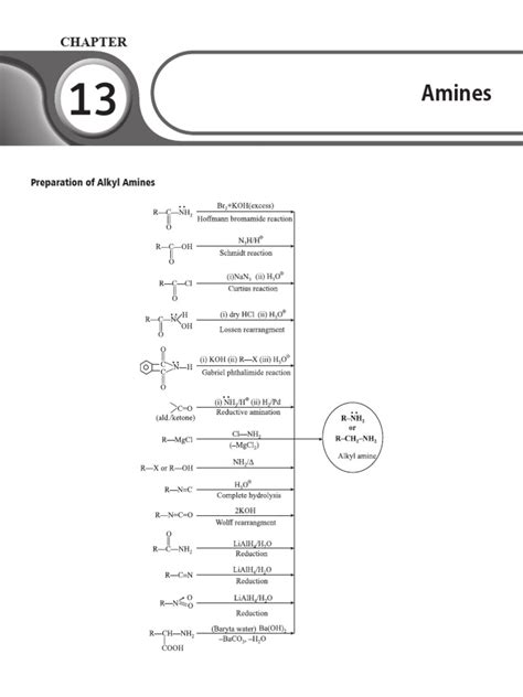 Amines Short Notes Pdf Amine Chlorine