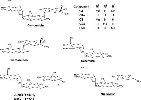 Structure Of Gentamicin Congeners As Well As Common Impurities And Download Scientific Diagram