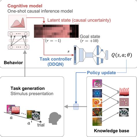 Controlling Human Causal Inference Through In Silico Task Design Cell Reports