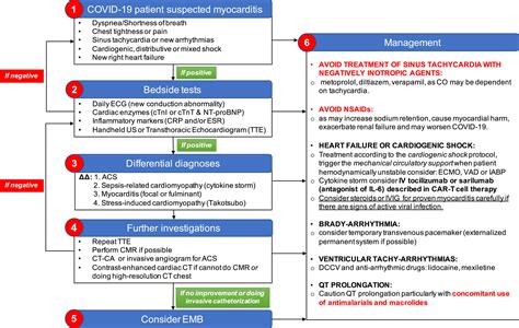 Myocarditis Echo Findings Myocarditis The Disease Is Commonly Caused By Viral