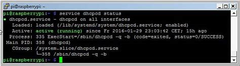 Dhcpcdstatus Internet With A Brain