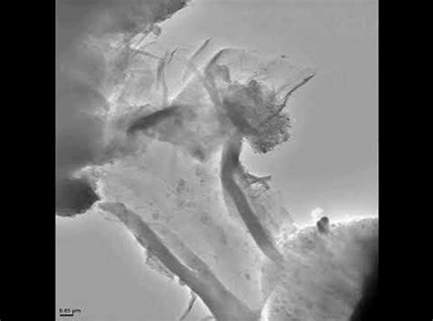 Kinetics Of Lithiation In Lithium Ion Batteries