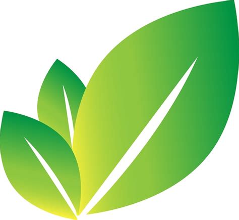 Leaf Vector Shape Premium Vector