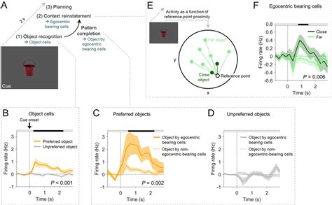 A Neural Code For Egocentric Spatial Maps In The Human Medial Temporal Lobe Abstract Europe Pmc