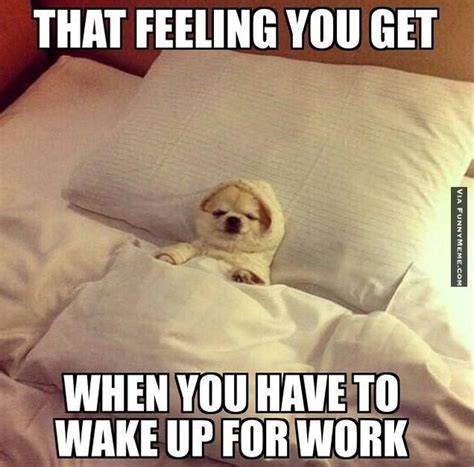 That Feeling When You Have To Wake Up For Work Meme City