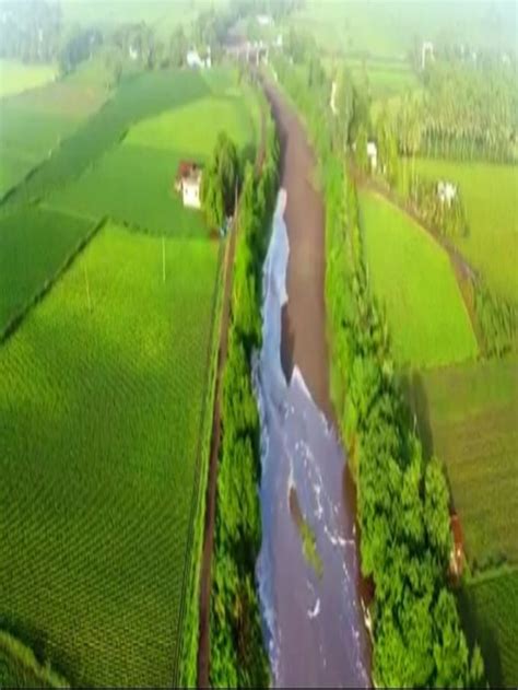 પાલનપુરના પ્રસિદ્ધ યાત્રાધામ બાજોઠીયા મહાદેવની 27 ફૂટ ઉંચી શિવજીની