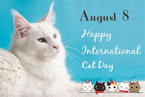 International Cat Day 50 Cat Day Quotes And Wishes Hubpages