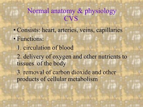 Cardic System Introduction Ppt
