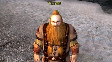 Dwarf Hunter Lotro